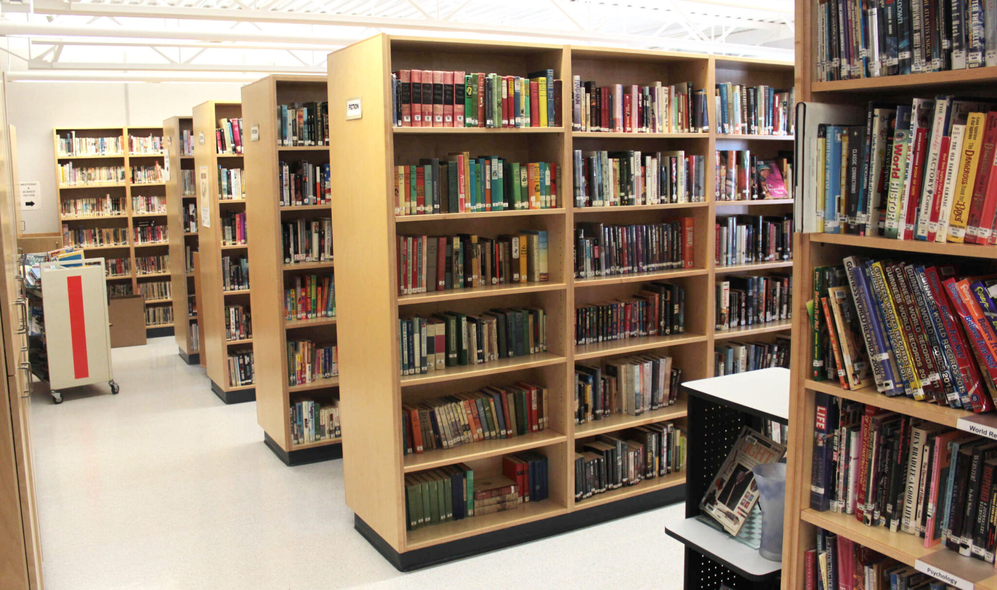 Library - Village of Pouce Coupe